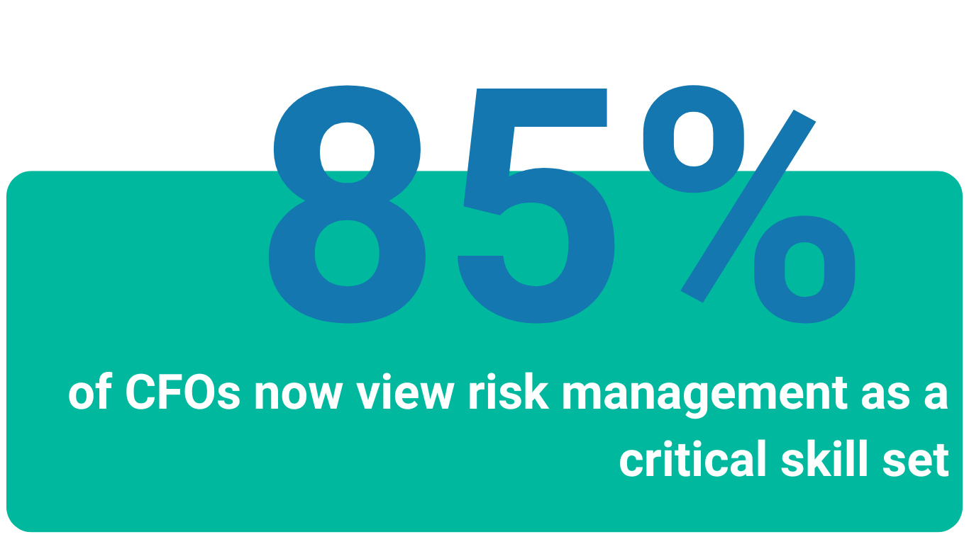 What does a CFO do?